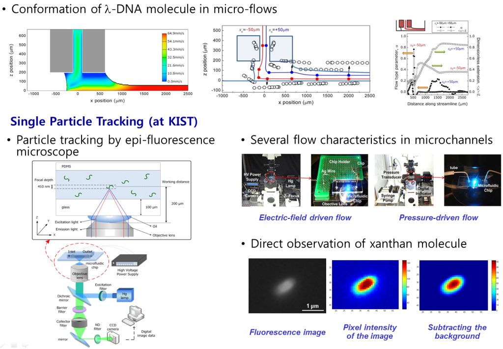 Research – Complex Fluids Engineering Laboratory